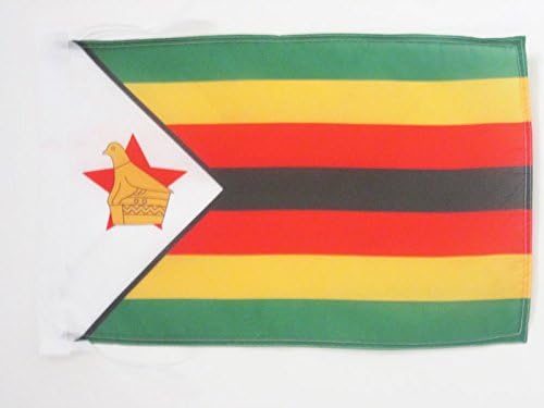AZ FLAG Zimbabwe Flag 18” x 12” cords – Zimbabwean SMALL flags 30 x ...
