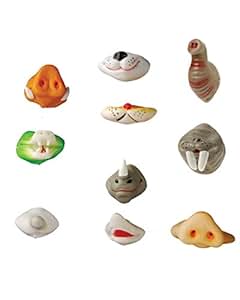 Amazon.com: Animal Nose Assortment (3 Dozen) - BULK: Toys & Games