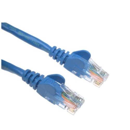 Belkin 1-Foot CAT5e Snagless Patch Cable (Blue) | Amazon price tracker ...