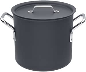Amazon.com: Calphalon Professional Hard-Anodized 8-Quart Stock Pot with ...