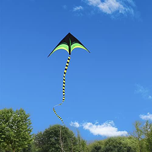 CZQEPMB Luminous Delta Kite for Kids and Adults,Very Easy to Fly Huge ...