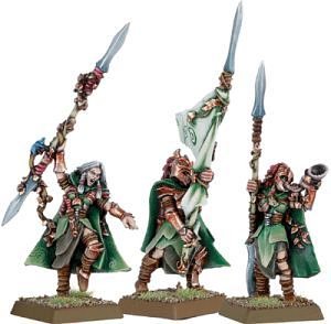 Games Workshop wood elf eternal guard command blister: Amazon.co.uk ...