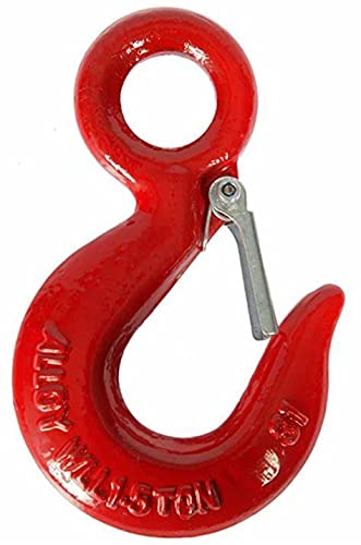 Buy EYEHOOK Eye Hook with Latch Stainless Steel Heavy Duty Crane Hook ...