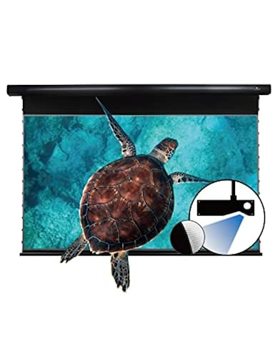 VIVIDSTORM-Projection Screens,Rotation ALR UST Motor Tension Screen ...