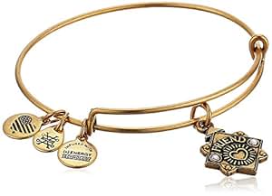 Amazon.com: Alex and Ani Womens Because I Love You, Friend Charm Bangle Bracelet, Rafaelian Gold ...