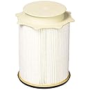 Amazon.com: Cummins Filtration FS53000 Fuel Filter: Automotive