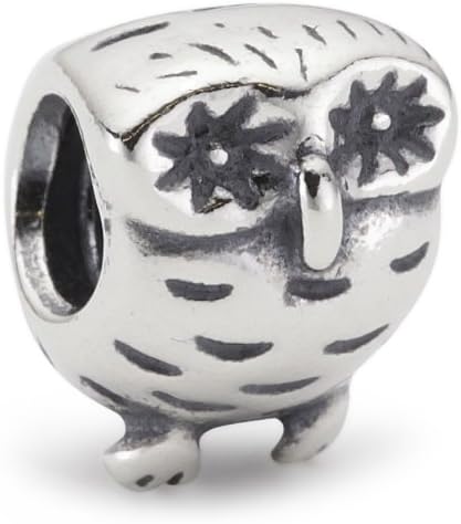 Pandora Women's 925 Sterling Silver Owl Charm: Pandora: Amazon.co.uk ...