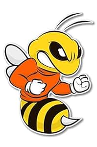 Amazon.com: Carframes18 Angry Bee Vinyl Sticker - Car Window Bumper ...