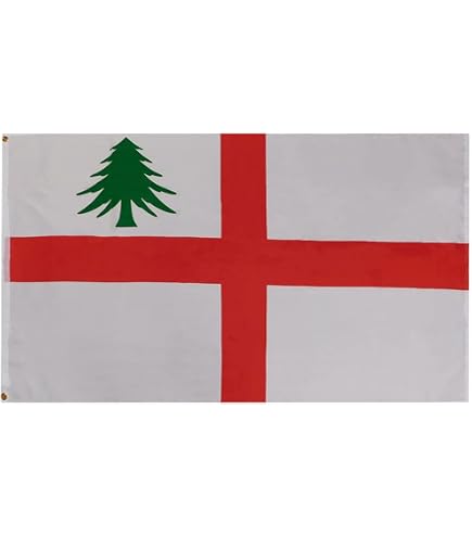Colinization New England Flag