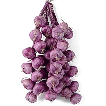 Amazon.com: Velidy 5pack Simulation Artificial Lifelike Fake Vegetable ...