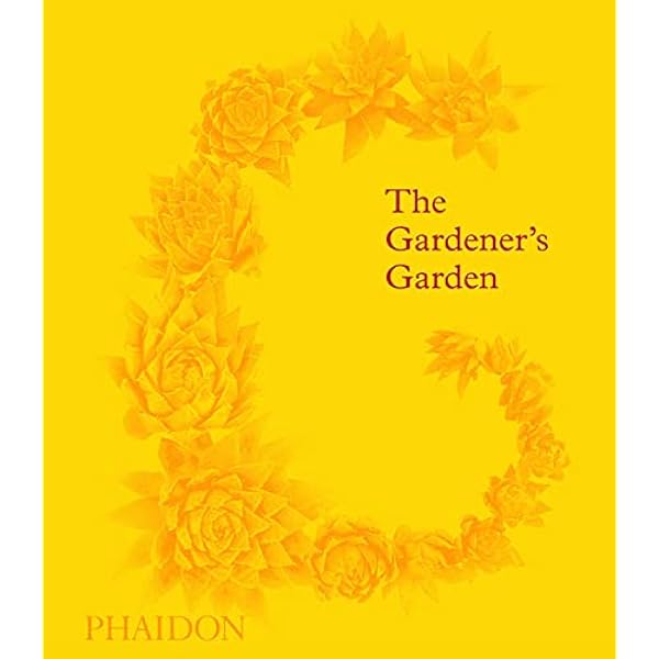 Madison Musgrave's Instagram, Twitter & Facebook on IDCrawl