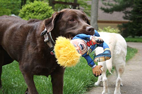 FUZZU Donald Trump (2020 Special Edition) Political Parody Novelty Dog ...