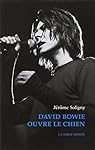 David Bowie - Jérôme Soligny - Babelio