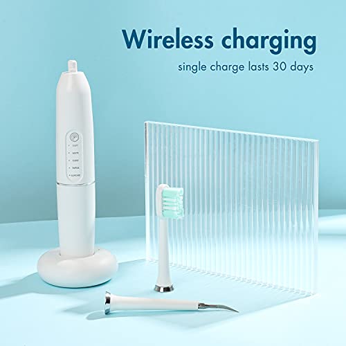 Plaque Remover for Teeth, ANSAUCT Sonic Teeth Cleaning Kit Electric ...