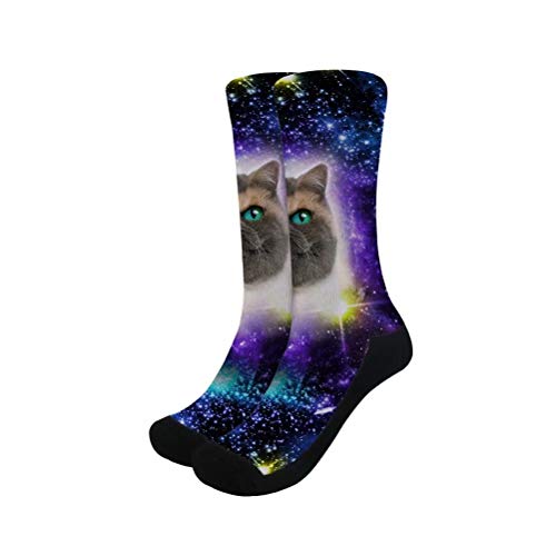 10 Funny Cat Socks - Oh How Unique!