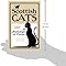 Scottish Cats: An Anthology of Scottish Cat Poems: Amazon.co.uk: Hamish ...