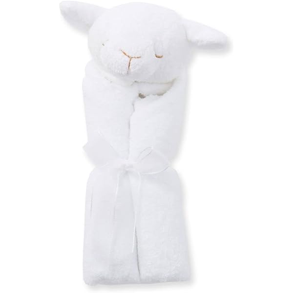 baby dear daniel blanket