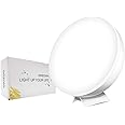 Amazon.com: AMZCOOL Happy Natural Light Therapy Lamp Simulated Sunlight ...