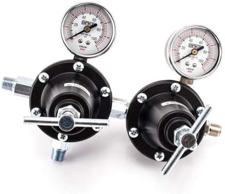 BINKS, 85-453, Dual Regulator Assembly - - Amazon.com