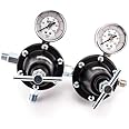 BINKS, 85-453, DUAL REGULATOR ASSEMBLY: Amazon.com: Tools & Home ...