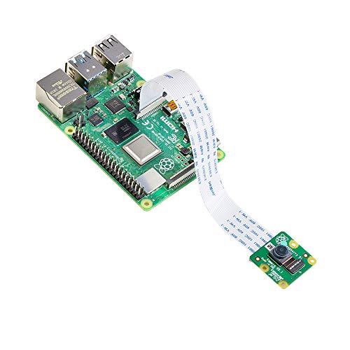 Raspberry Pi Camera Module V2-8 Megapixel,1080p (RPI-CAM-V2 + 20"/500mm ...