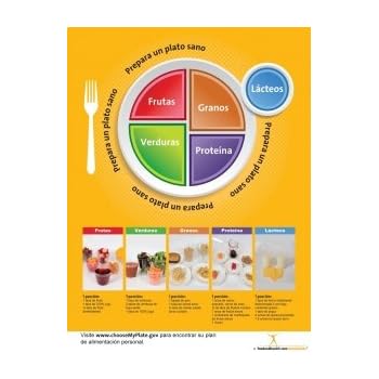 Amazon.com: MiPlato MyPlate Spanish Poster: Industrial & Scientific