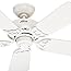 Hunter 28528 Hudson 42-Inch 5-Blade Ceiling Fan, White with White/Light ...