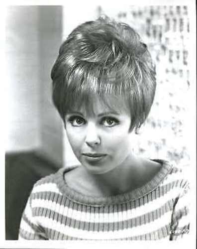 Deborah Walley 8x10" Photo #G5881 at Amazon's Entertainment ...