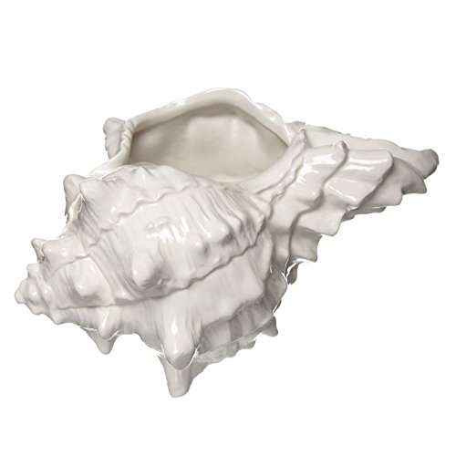 Large Ceramic Conch Shell Bowl. 28cm in diameter: Amazon.co.uk: Kitchen ...