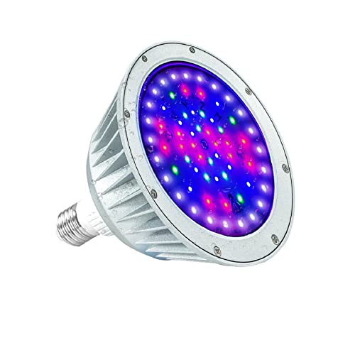 SEURON LED Pool Light Bulb, 12V AC 40W RGBW Color Changing led Pool ...