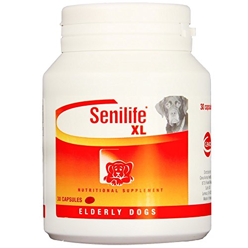 Ceva Senilife XL for Elderly Dogs over 50 pounds (30 Caps) | Amazon ...