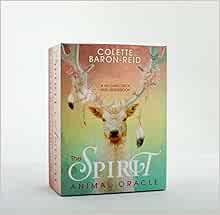 The Spirit Animal Oracle: A 68-Card Deck and Guidebook: Baron Reid, Colette: 9781401952792 ...