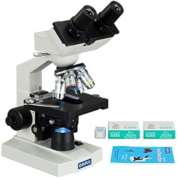 Amazon.com: AmScope B100B-MS Compound Binocular Microscope, 40X-2000X Magnification, Brightfield ...
