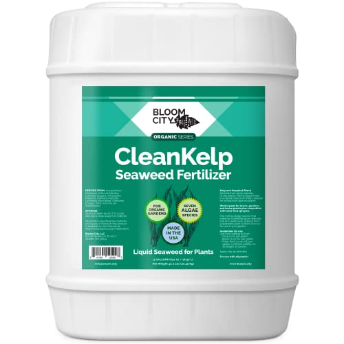 Organic Liquid Kelp Fertilizer - Seaweed Fertilizer for Plants ...