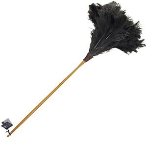 Redecker Ostrich Feather Duster with Beech Handle, 1.2m: Amazon.co.uk ...