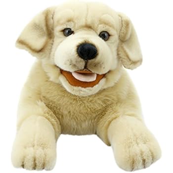 Amazon.com: Folkmanis Golden Retriever Puppy Hand Puppet: Toys & Games