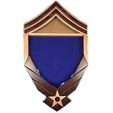 Amazon.com: E-8 Air Force Senior Master Sergeant (SMSgt) Shadow Box ...