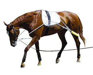 Pessoa Training Aid Essential Lunging Tool - Black, Pony: Amazon.co.uk ...