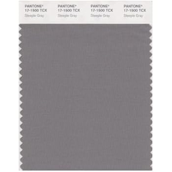 PANTONE Smart 18-4005X Color Swatch Card, Steel Gray - Wall Decor ...