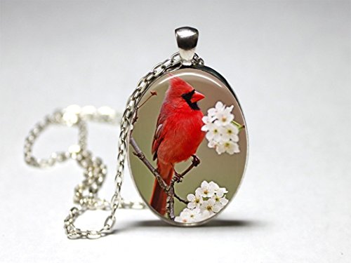 Cardinal Jewelry | Kritters in the Mailbox | Cardinal Themed Jewelry