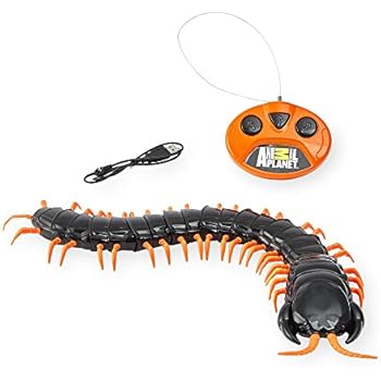 Amazon.com: Animal Planet Giant Remote Control Centipede, with Charger ...