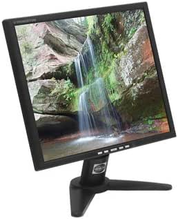 Amazon.com: 19-Inch Princeton VL1919 DVI/VGA TFT LCD Monitor (Black ...