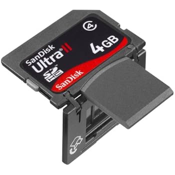 Amazon.com: SanDisk Ultra II SD Plus 2GB Card: Electronics