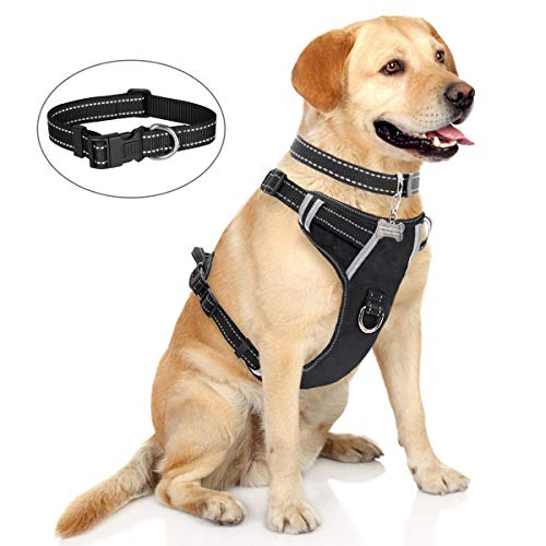 Top 10 Best Harnesses for Boxers Reviewed in 2019 | Pet Struggles