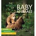 Wonder of Baby Animals: 9781616287894: Amazon.com: Books