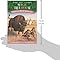 Buffalo Before Breakfast (Magic Tree House #18): Osborne, Mary Pope ...