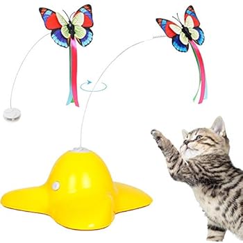 Amazon.com : AFP Design-Interactives Shiny Butterfly Flutter Bug Cat ...