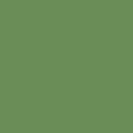 Pantone TPG 8.5X11 Sheet 17-0230 Forest Green - - Amazon.com