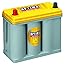Amazon.com: Optima Batteries 8051-160 D31A YellowTop Dual Purpose ...