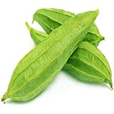 Nature Valley Vegetable Seed RIDGE GOURD - Hybrid Turai/Tori/Luffa ...